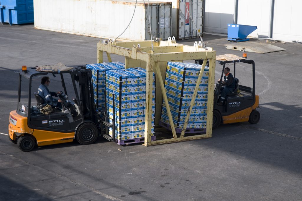 Tar Lazio dà ragione a Cfft - Messaggero Marittimo